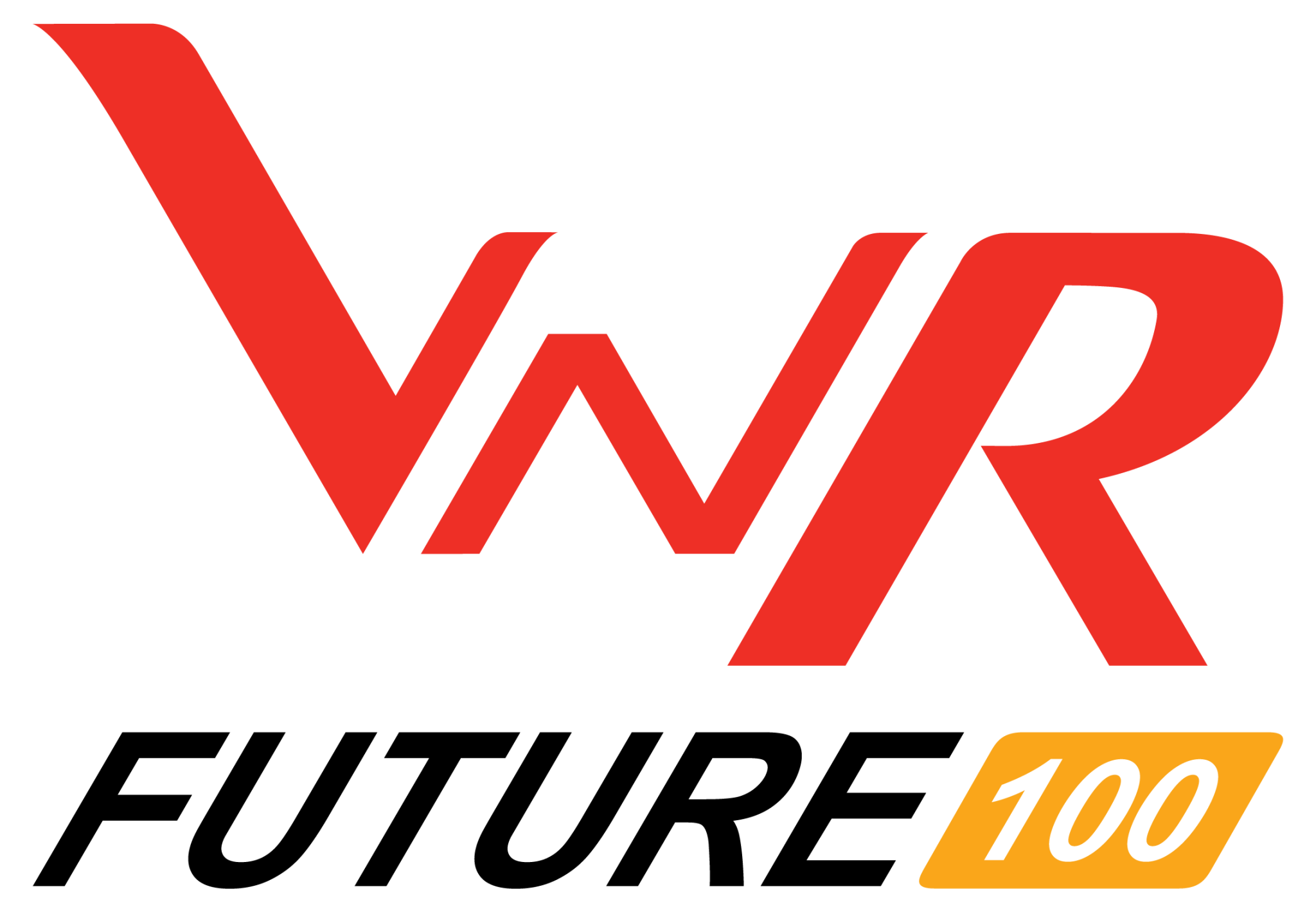 Vietnam Report